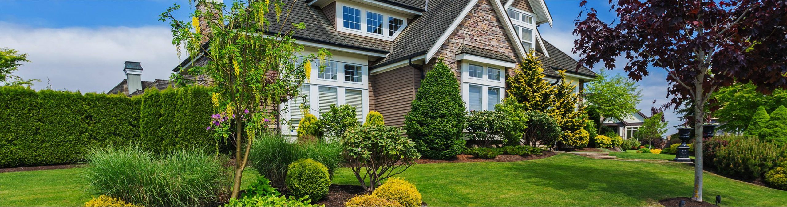 Scurrying in the Walls? How to Keep Rodents Out for Good Cypress Creek ...