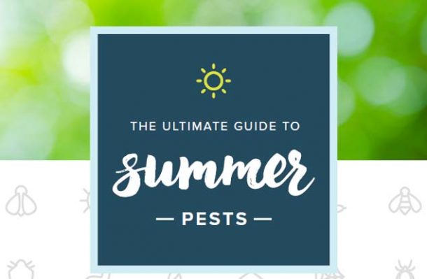 Summer Pest Guide | Houston Pest Control | CyCreek PC